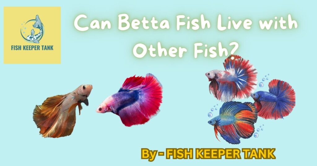 Can Betta Fish Live with Other Fish?
